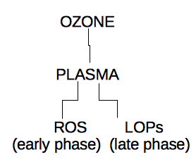 [FAQ] How Does Ozone Work